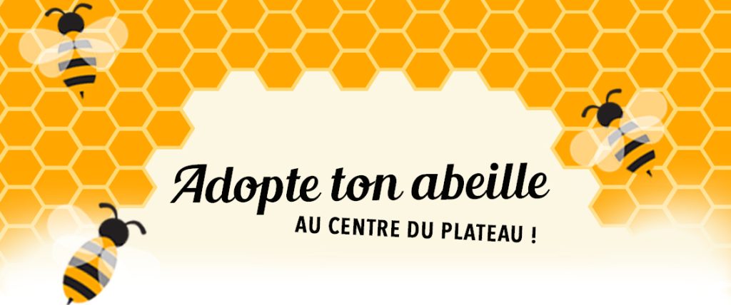 Adopte ton abeille - Centre du Plateau